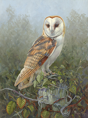 Hilary Mayes, Wildlife Artist